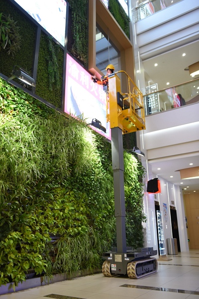 Haulotte Teleskopmastbühne 6m Arbeitshöhe mit 200kg Tragefähigkeit Star ...