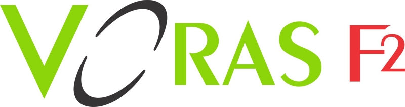 Kratos VORAS F2 Höhensicherungsgerät mit Gurtband Breite 50 mm Länge 2 m - Verwendbar bei ...